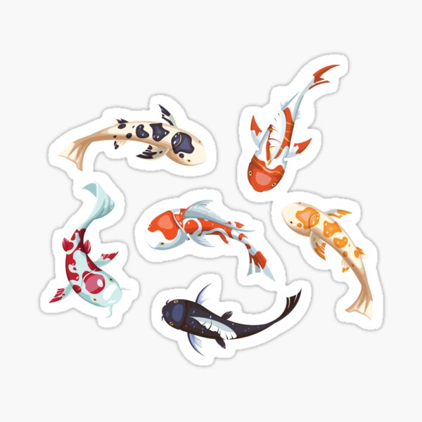 "Koi Fish" Sticker for Sale by edwardecho | Redbubble
