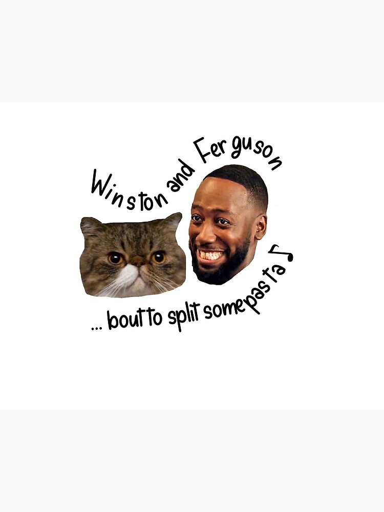 New Girl Memes Winston