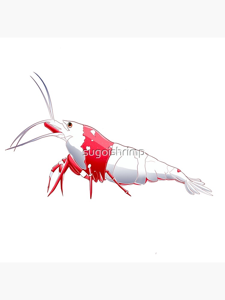 "Pure Red Line Caridina Shrimp PRL" Art Print by sugoishrimp | Redbubble