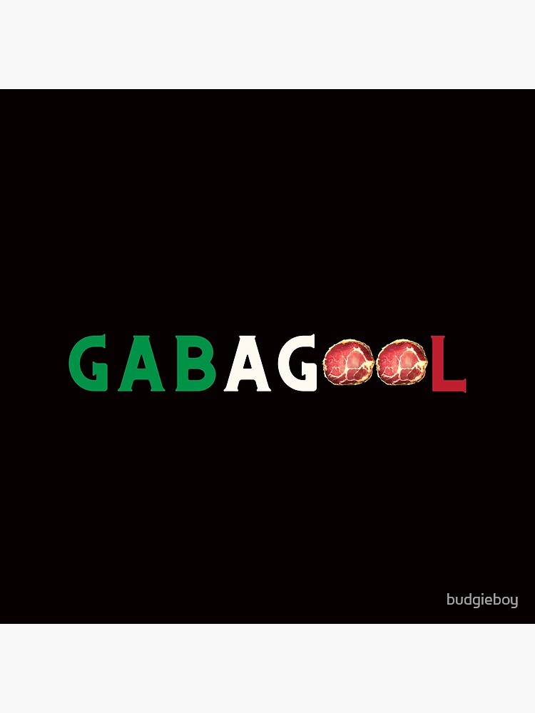 "Gabagool Italian Flag" Poster by budgieboy | Redbubble