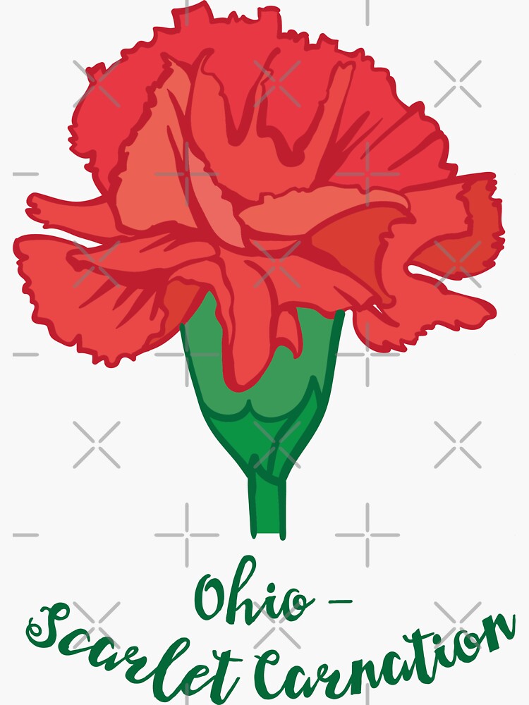 "Ohio State Flower - Scarlet Carnation" Sticker by choisanezine | Redbubble