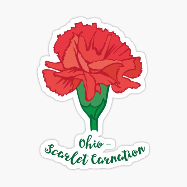 "Ohio State Flower - Scarlet Carnation" Sticker by choisanezine | Redbubble