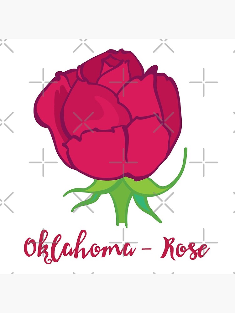 "Oklahoma State Flower - Rose" Poster for Sale by choisanezine | Redbubble