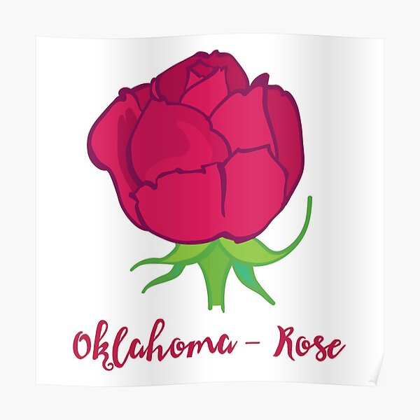 "Oklahoma State Flower - Rose" Poster for Sale by choisanezine | Redbubble