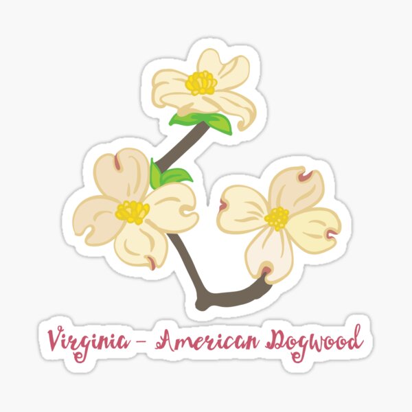 "Virginia State Flower - American Dogwood" Sticker for Sale by ...