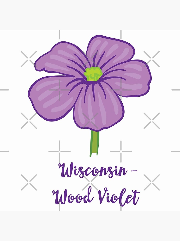 "Wisconsin State Flower - Wood Violet" Poster for Sale by choisanezine ...