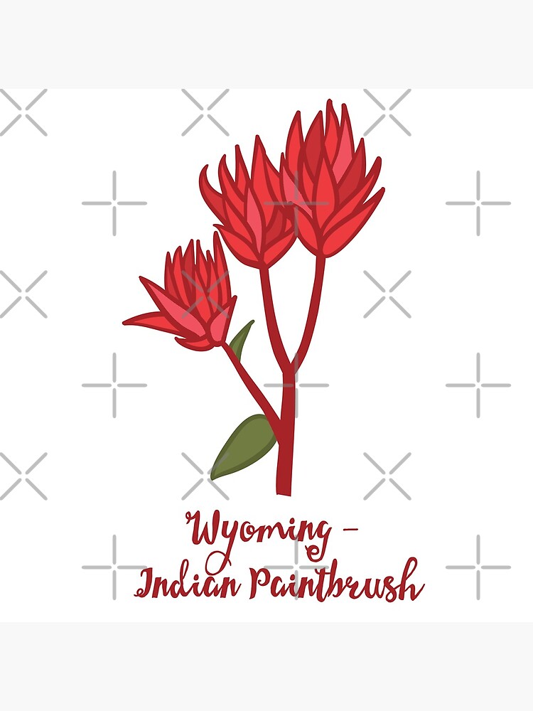 "Wyoming State Flower - Indian Paintbrush" Poster for Sale by ...