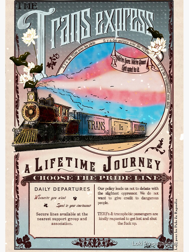 "The Trans Express" Sticker for Sale by EchoppeDeLoki | Redbubble