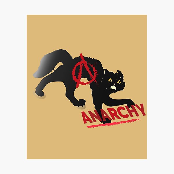 Lámina fotográfica «Gato negro de la anarquía | Gato salvaje | Sabot ...