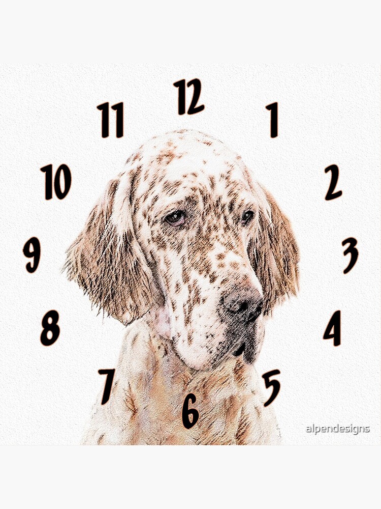 "English Setter (Orange Belton)" Clock for Sale by alpendesigns | Redbubble