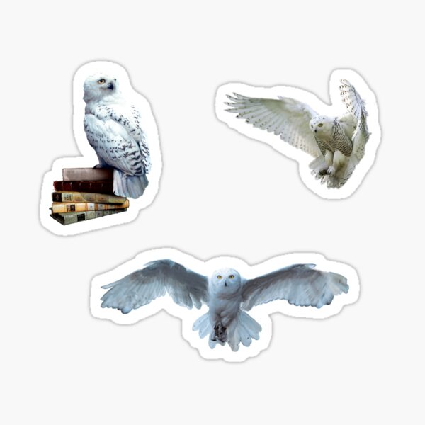 " magical awel sticker pack" Sticker by zermanerayene | Redbubble