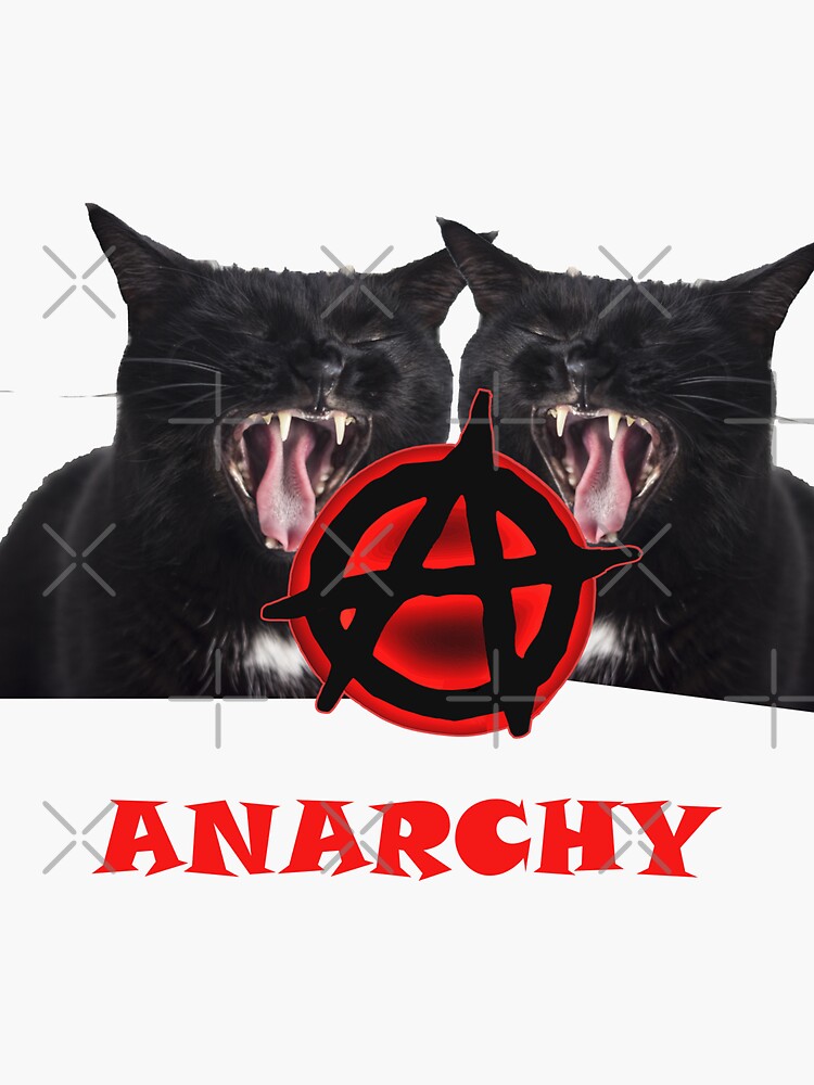 "Black Anarchy Cat | Wild Cat | Sabot-Cat | Fight For Your Right ...