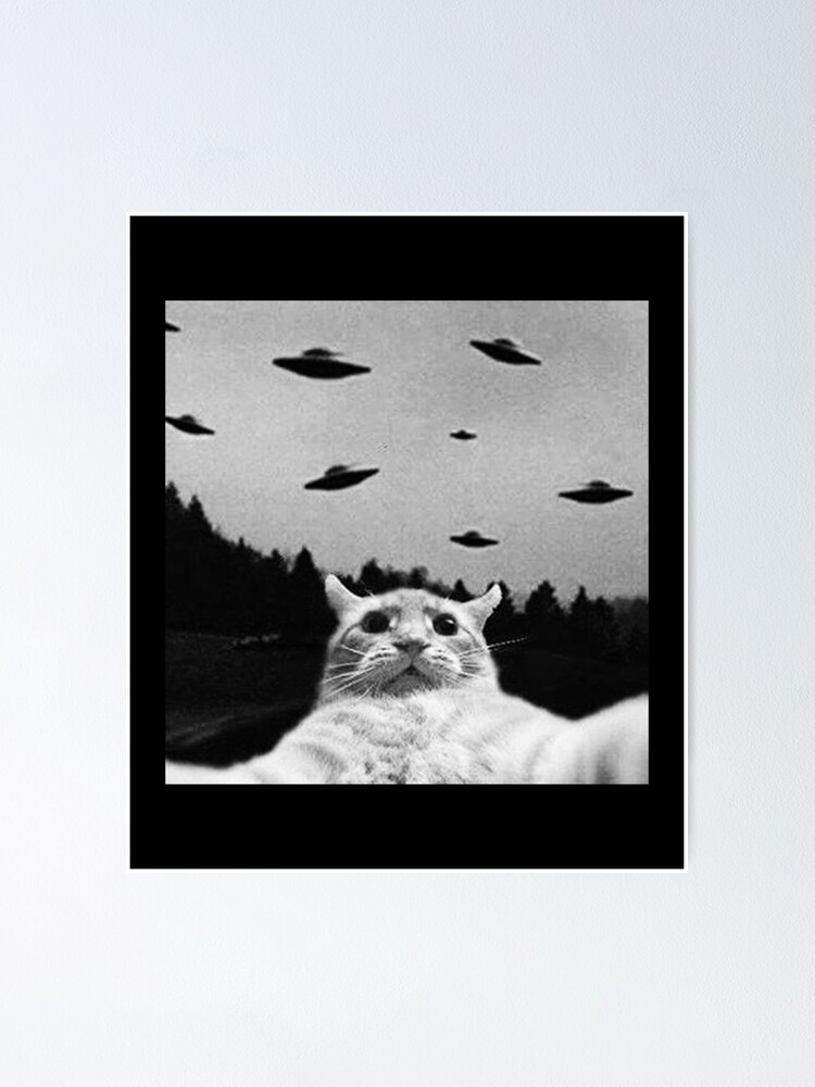 "Alien UFO Funny Cat Selfie" Poster by WDJemili | Redbubble