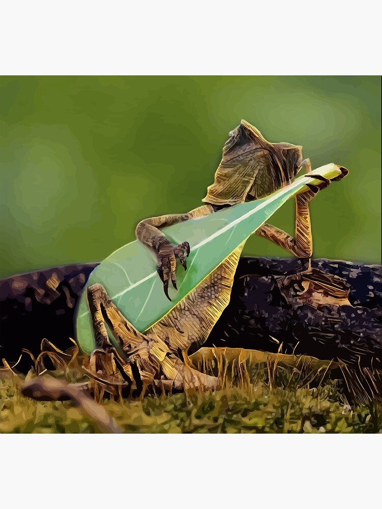 "Lizard Playing Guitar" Poster for Sale by 6athed | Redbubble