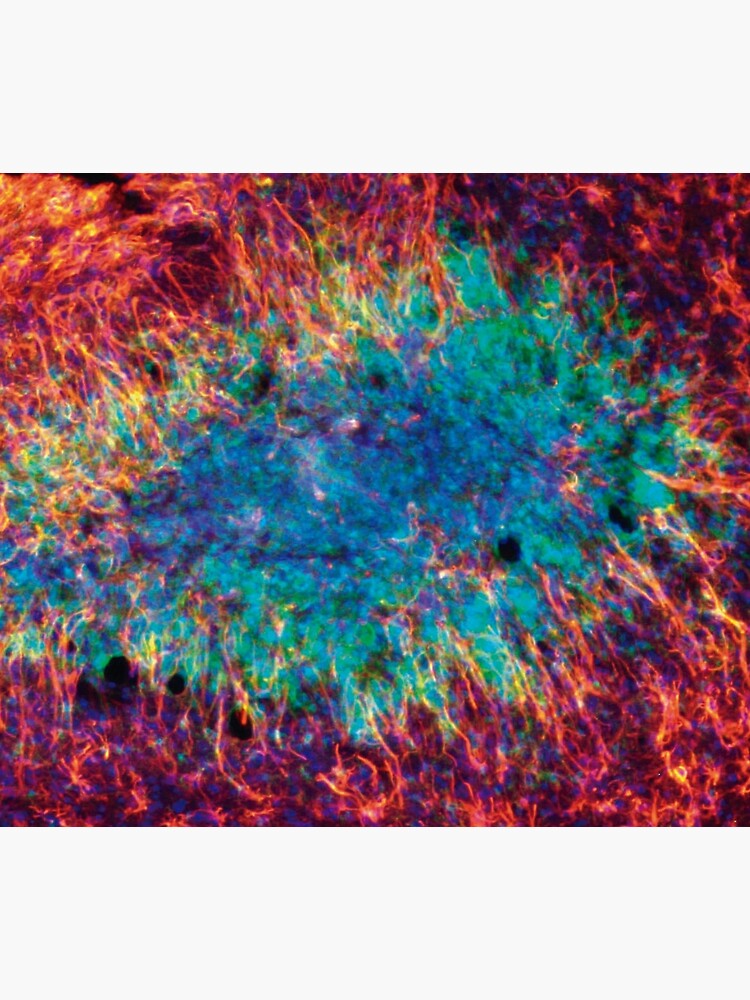 Supernova design Premium Matte Vertical Poster sold by Carlos Brito ...