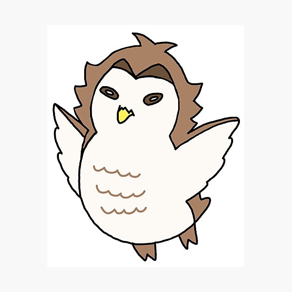 Lámina fotográfica «Búho Haikyuu Akaashi» de Jade-Jaded | Redbubble