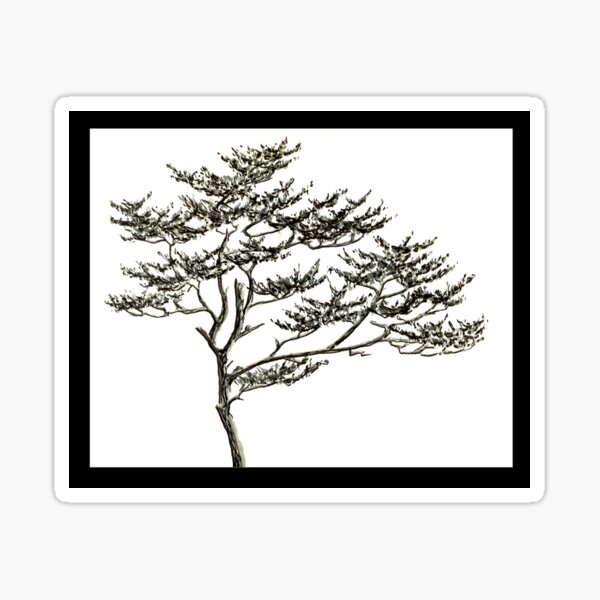 "Freehand Pine" Sticker for Sale by Sladeside | Redbubble