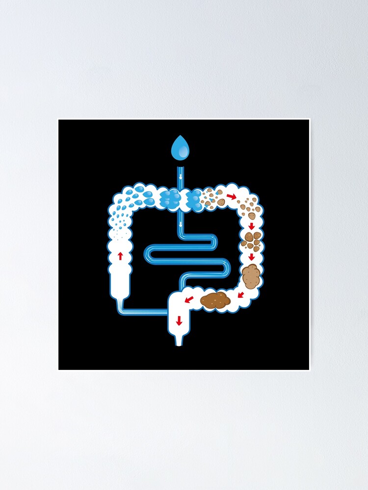 Póster «Ilustración del sistema digestivo humano y la formación y ...