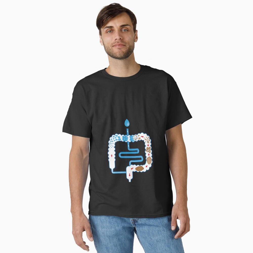 "Illustration of the human digestive system, and fecal bolus formation ...