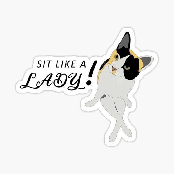 "Sit Like a Lady Cat With Crossed Legs" Sticker for Sale by zvotinjke ...