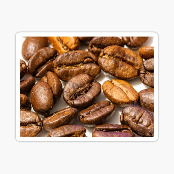 "Coffee beans of the Arabica variety, separated and roasted" Sticker ...