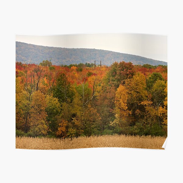 "fall colors " Poster for Sale by Zarabeaver | Redbubble