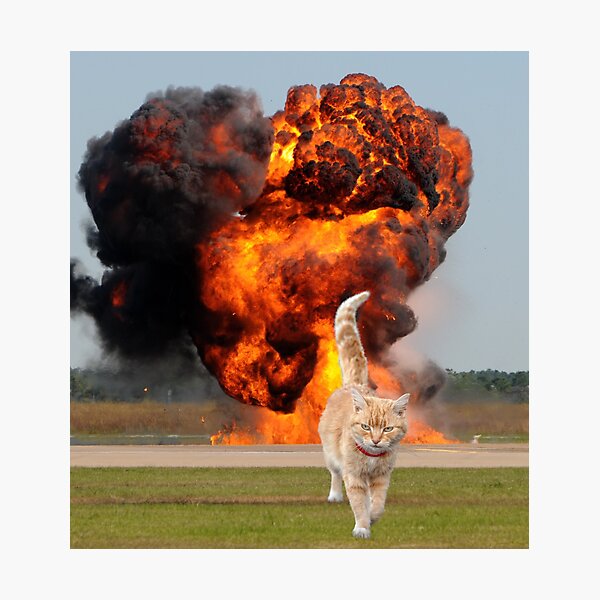 Lámina fotográfica «Gato alejándose de la explosión GME Gamestop Stock ...