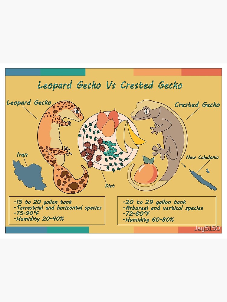 "infographic of leopard gecko and crested gecko " Art Print by Jay5150 ...