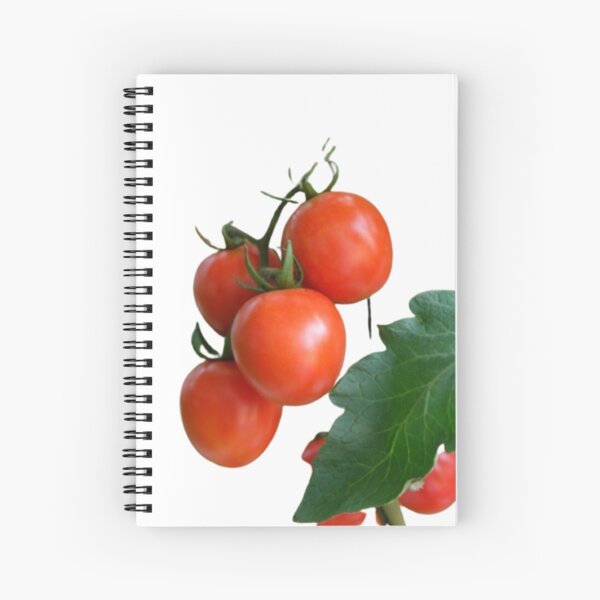 Tomate Gifts & Merchandise for Sale | Redbubble