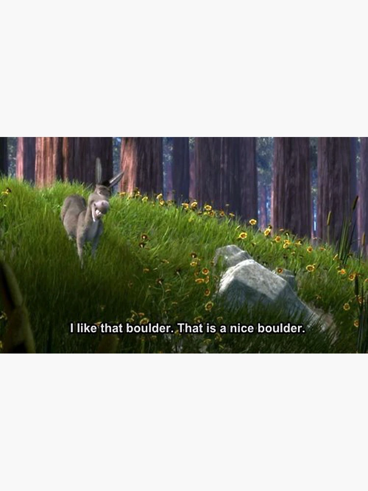 Nice Boulder Memes It's Not A Rock… It's A Boulder! : R/memes