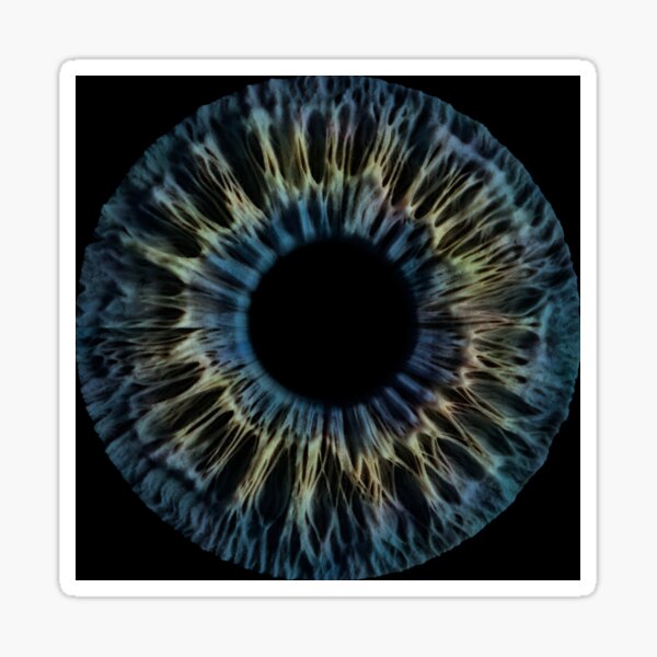 "Sight" Sticker by Tibidy | Redbubble