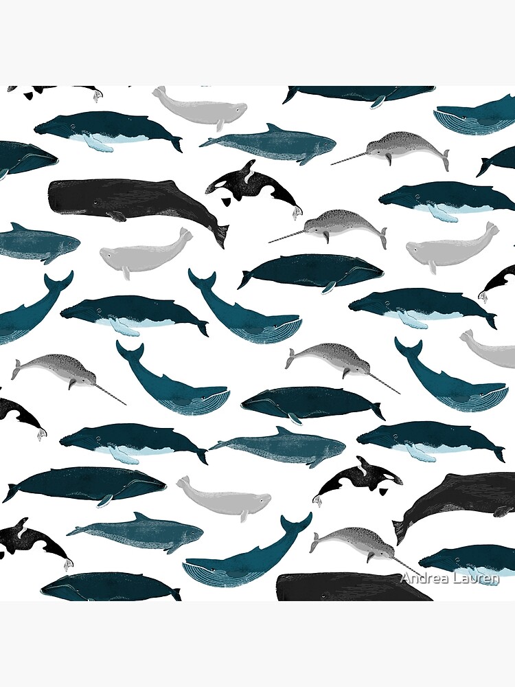 "Whales and porpoises, sea life, marine animals ,nature, biology ...