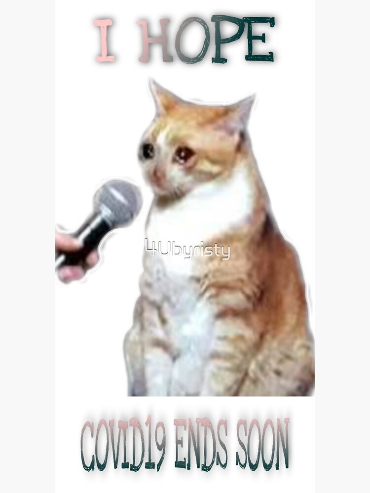 "Crying cat on Interview" Sticker for Sale by 4Ubyristy | Redbubble