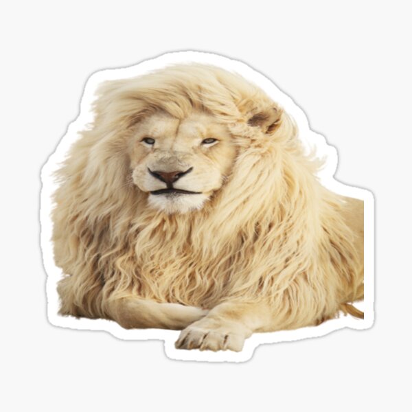 "Der König Löwe Süße Tiere Netter Löwe" Sticker von TuppieN | Redbubble