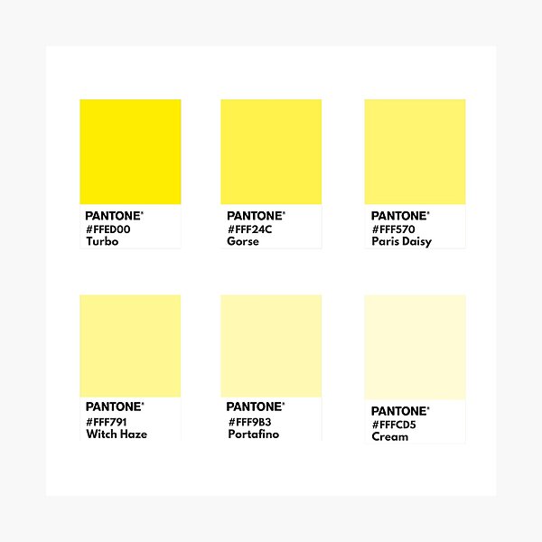 Lámina fotográfica «Muestra de color pantone de paleta de amarillo ...