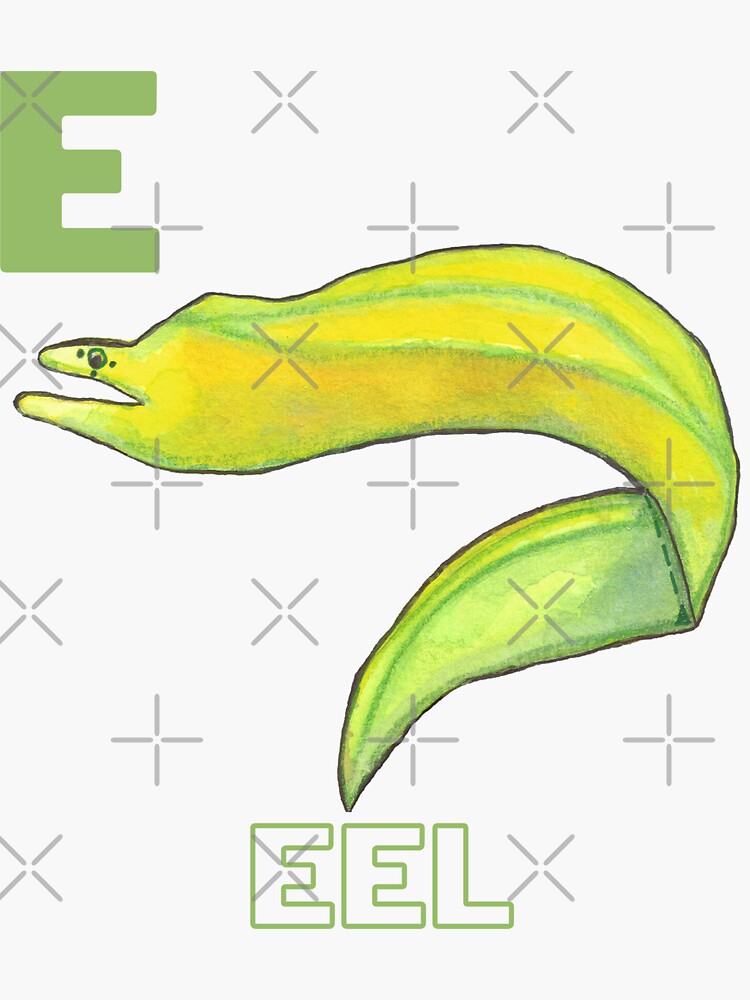 "Eel Starts with E Ocean Animals Alphabet Letter E" Sticker for Sale by ...