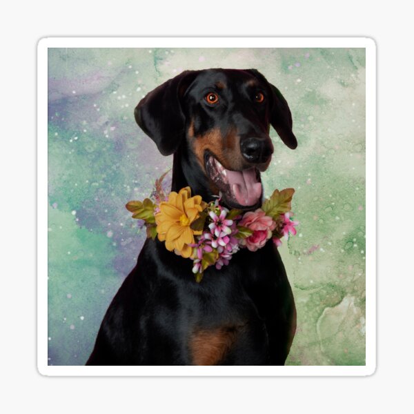 "Dobermann | Dobey" Sticker for Sale by PeggyColclough | Redbubble