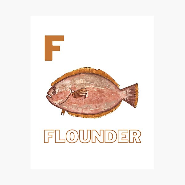 "Flounder Starts with F Ocean Animals Alphabet Letter F" Photographic ...