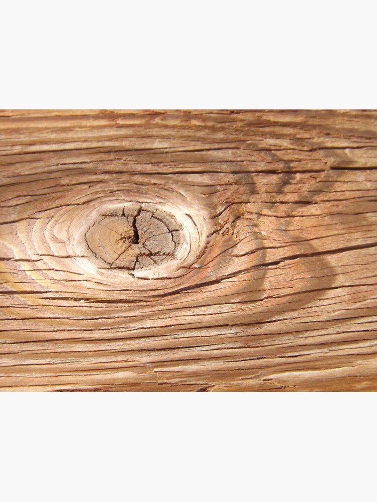 "Wood Grain Knothole" Sticker for Sale by lornakay | Redbubble