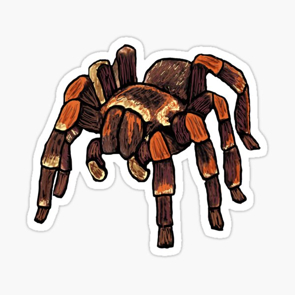 "Tarantula Spider" Sticker by Mark-Ewbie | Redbubble