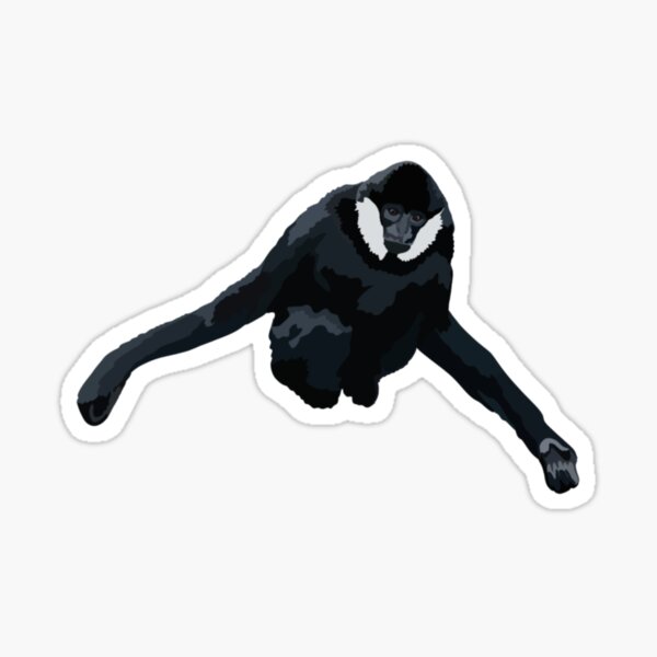 "W is for White cheeked gibbon" Sticker for Sale by thezoogirl | Redbubble