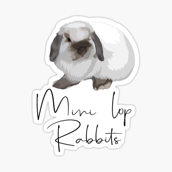 "Mini lop rabbits" Sticker by joyfuldesigns55 | Redbubble