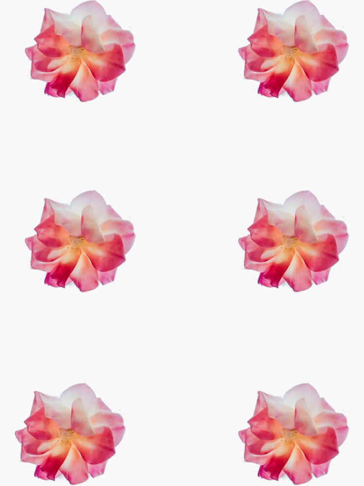 "Pink Flower Sticker Pack" Sticker by BubbleArt21 | Redbubble