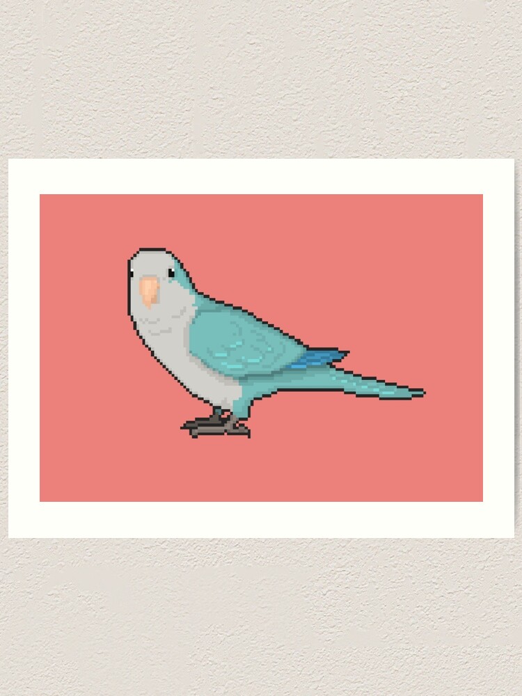 "Pixel/ 8-bit Parrot: Blue Quaker Parrot" Art Print by Kadoodles ...