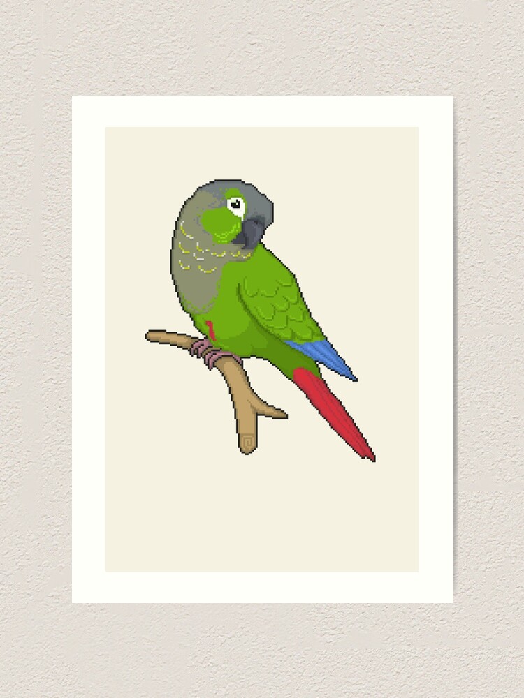 "Pixel / 8-bit Parrot: Green-cheek Conure" Art Print by Kadoodles ...