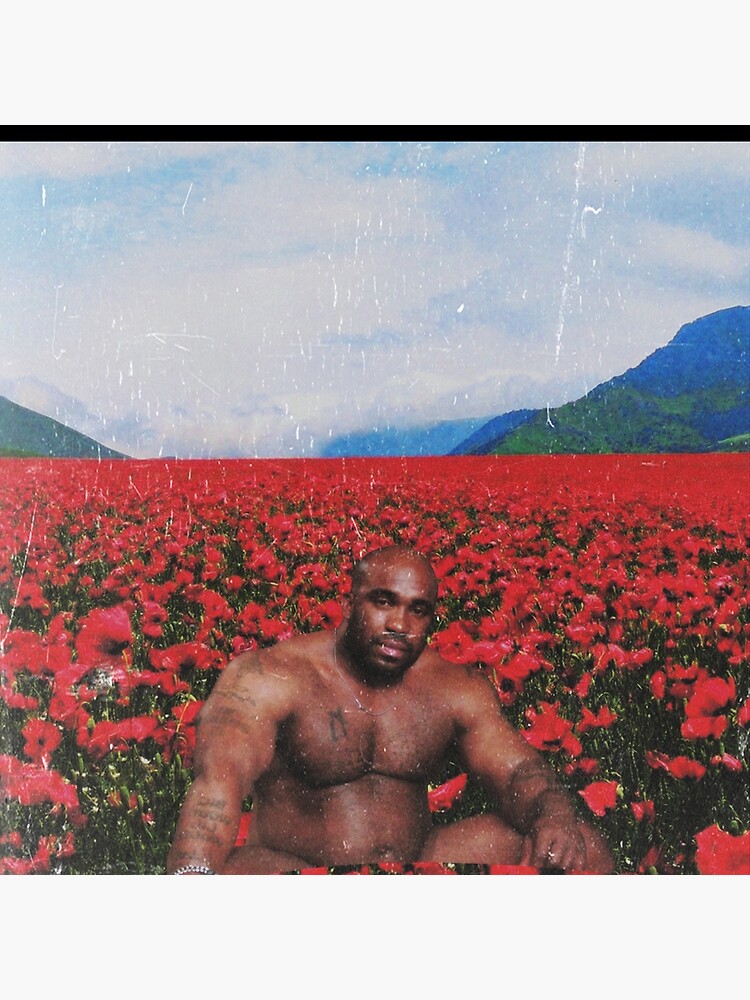 "Barry Wood on a Flower Field" Throw Pillow by SocialStreet | Redbubble