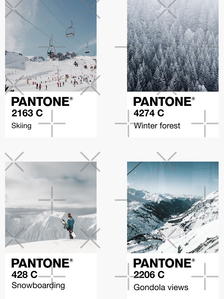 "Pantone Winter Pack" Sticker for Sale by beekindstudio | Redbubble