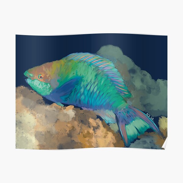 "Spectacled Parrotfish, Uhu in Hawaiian" Poster for Sale by NadJac ...