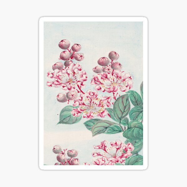 "Blooms vintage Japanese art" Sticker for Sale by Nyanko-Sempai | Redbubble
