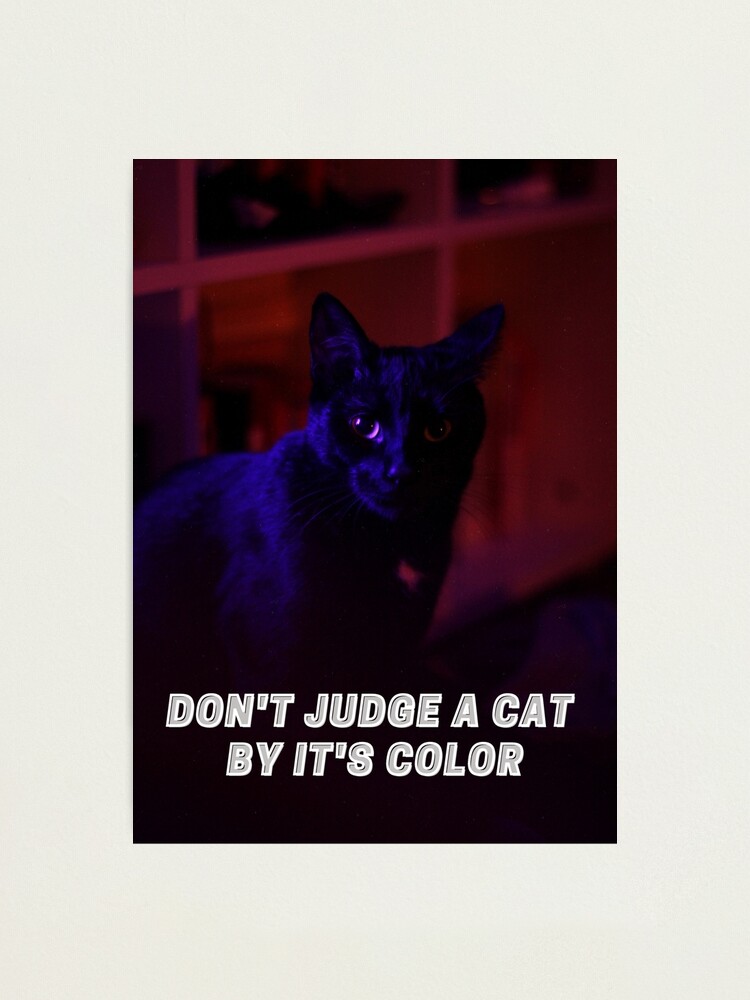 "Don't judge a cat by its color" Photographic Print by bimapedia18 ...